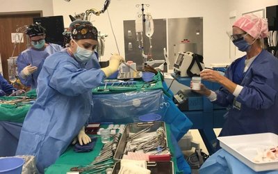 Admedus agrees to sell CardioCel and VascuCel patch business to ...