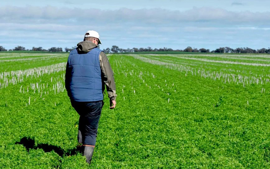 RLF AgTech signs deal to supply crop nutrition products to Australian ...